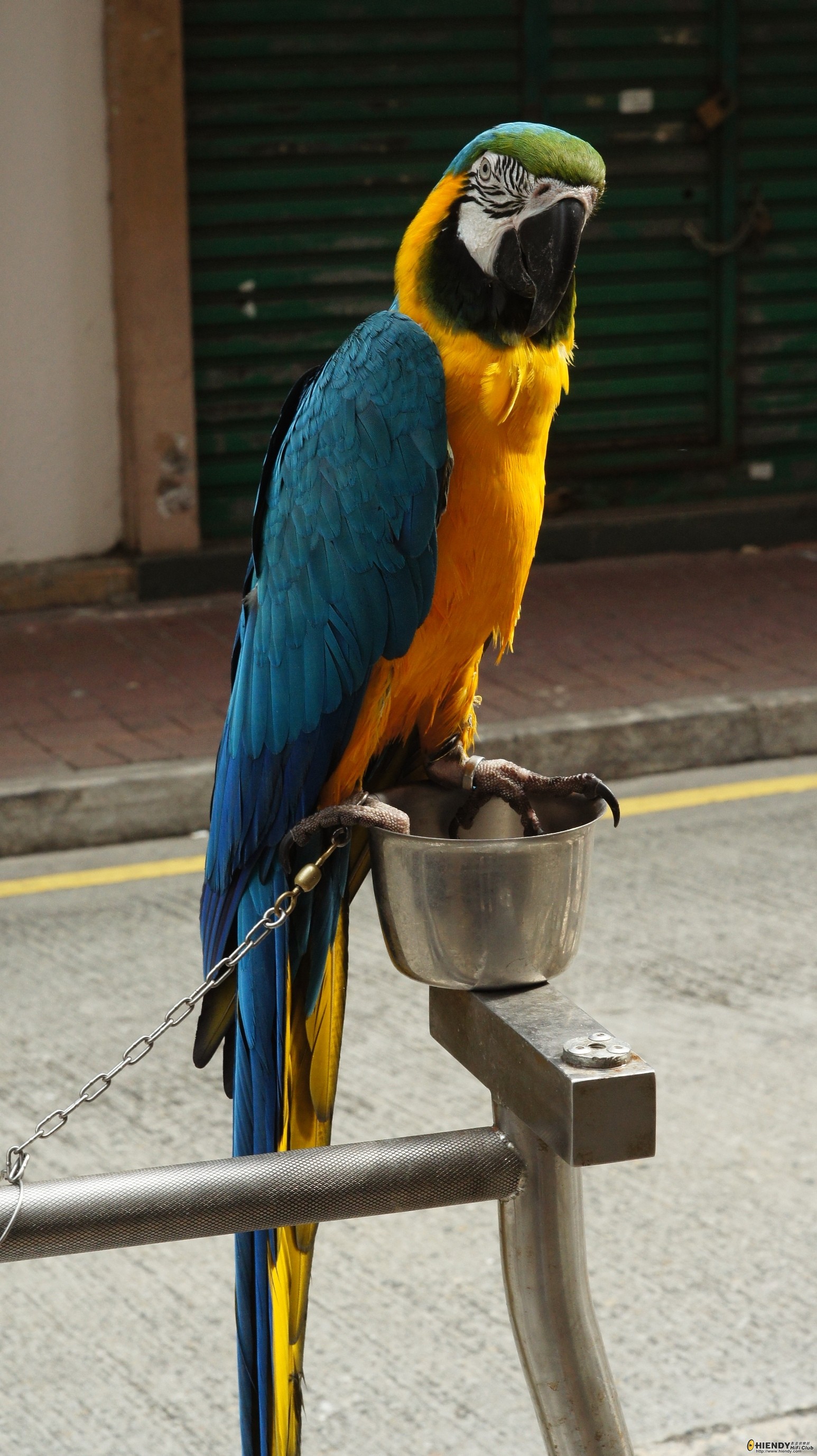 默認相冊 - Hiendy.com 影音俱樂部 - Powered by Discuz!